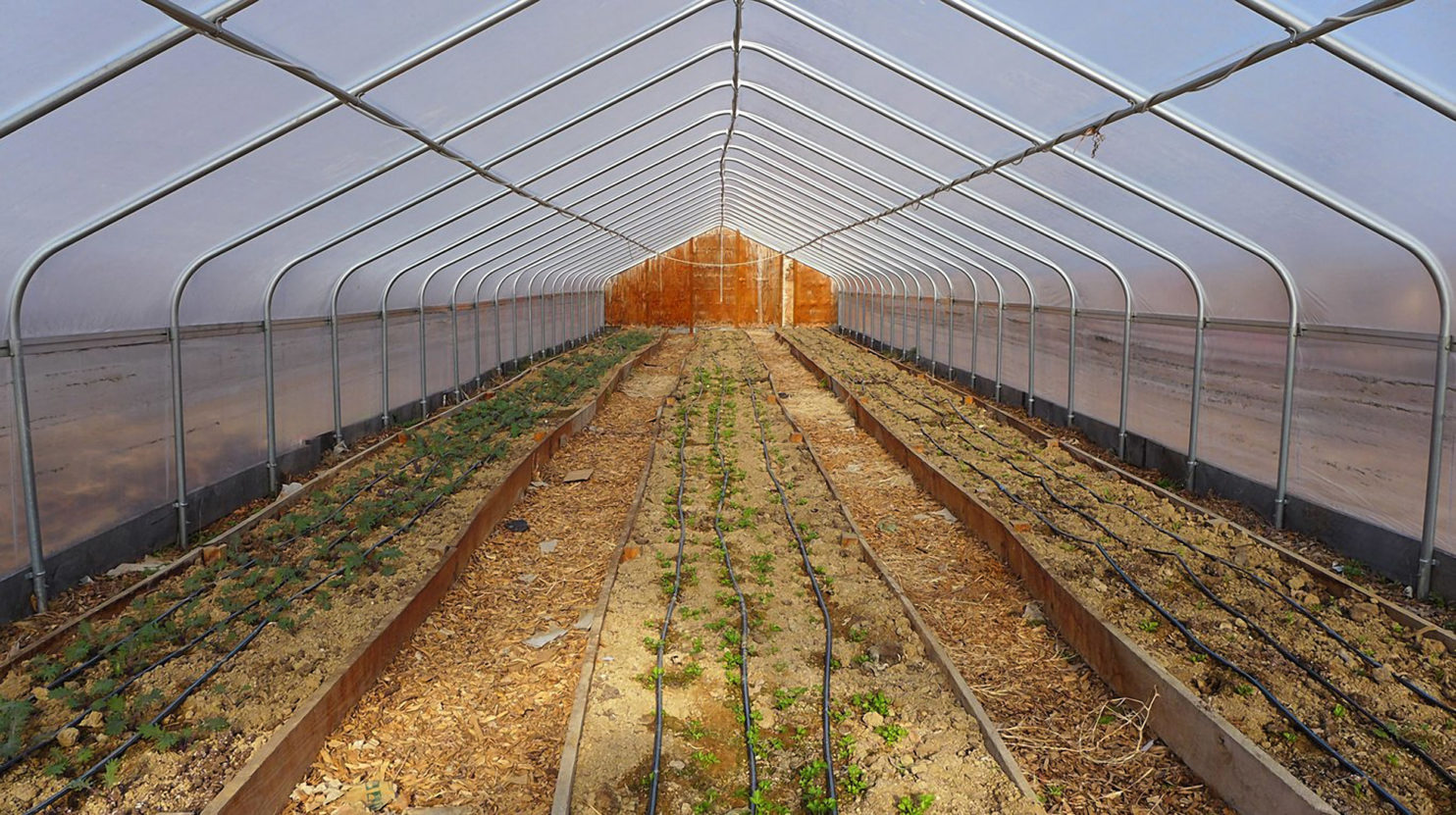 Urban Arboreta | Center for Community Progress