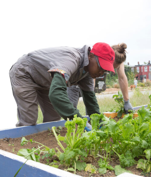 Resources for Vacant Land Stewardship and Revitalization | Center for ...