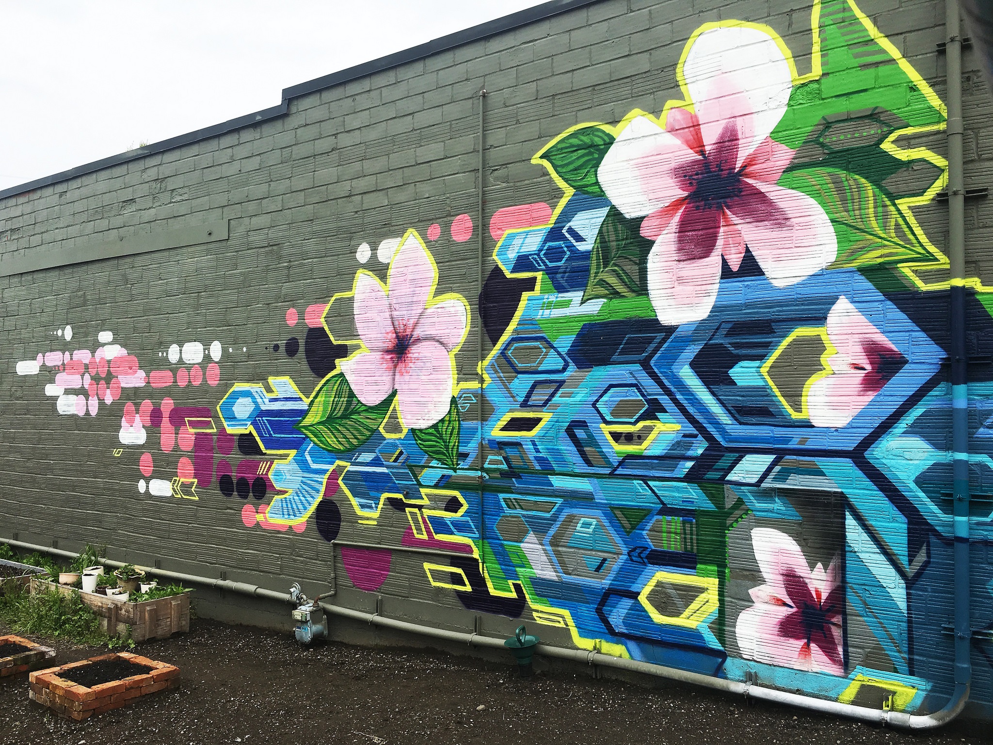 Community Progress Welcomes 2024 Community Revitalization Fellows from ...